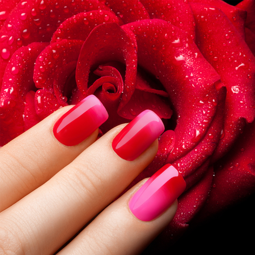 West Palm Beach Pedicures: Gel & Dip Powder Nails | Nail Art